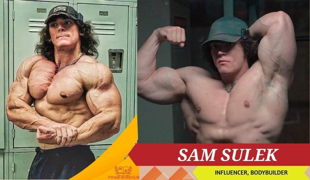 Sam Sulek: Bio, Age, Height, Weight, Career, Education, Net Worth